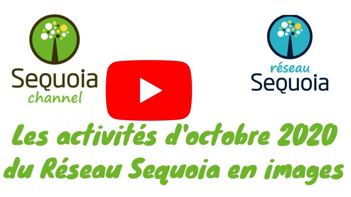 Les activités du mois d'octobre 2020 en images
