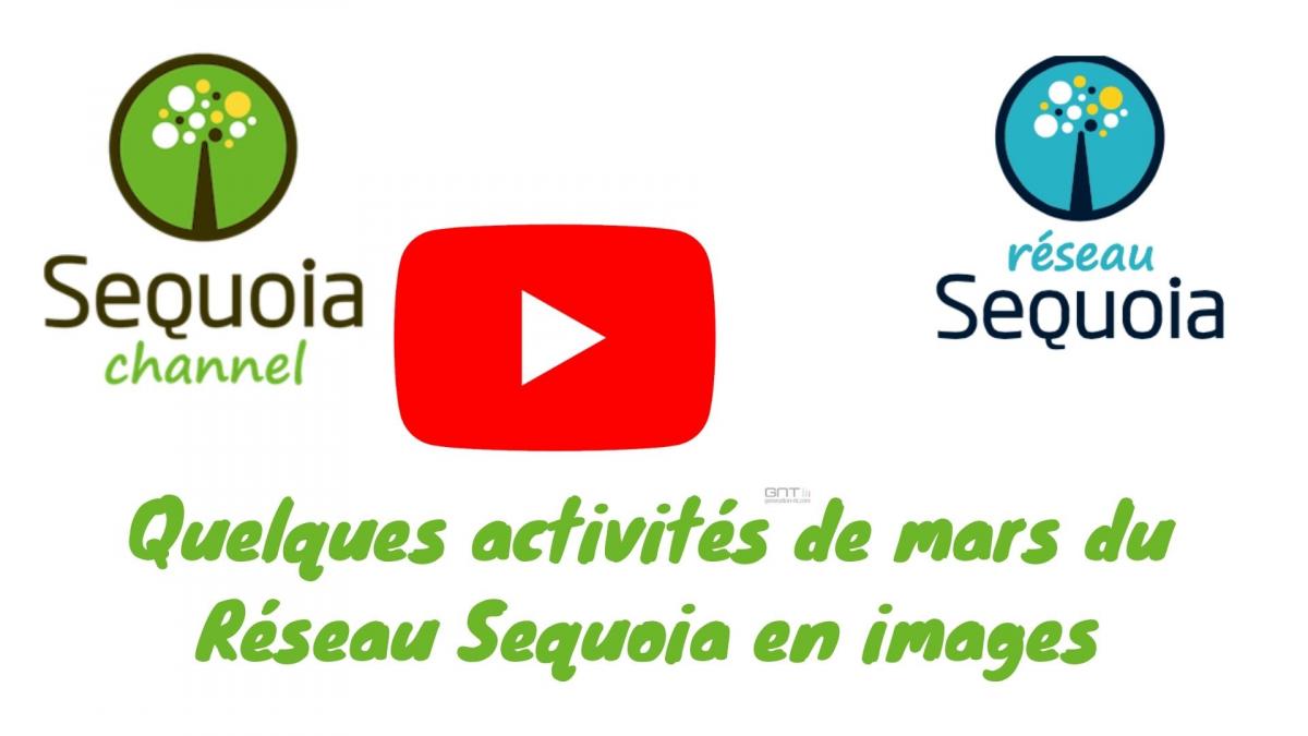 Les activités de Mars en images